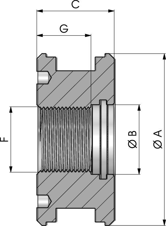 THREADED PISTON - Components for cylinders