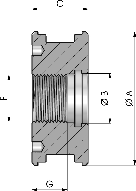SHORT THREADED PISTON - Components for cylinders